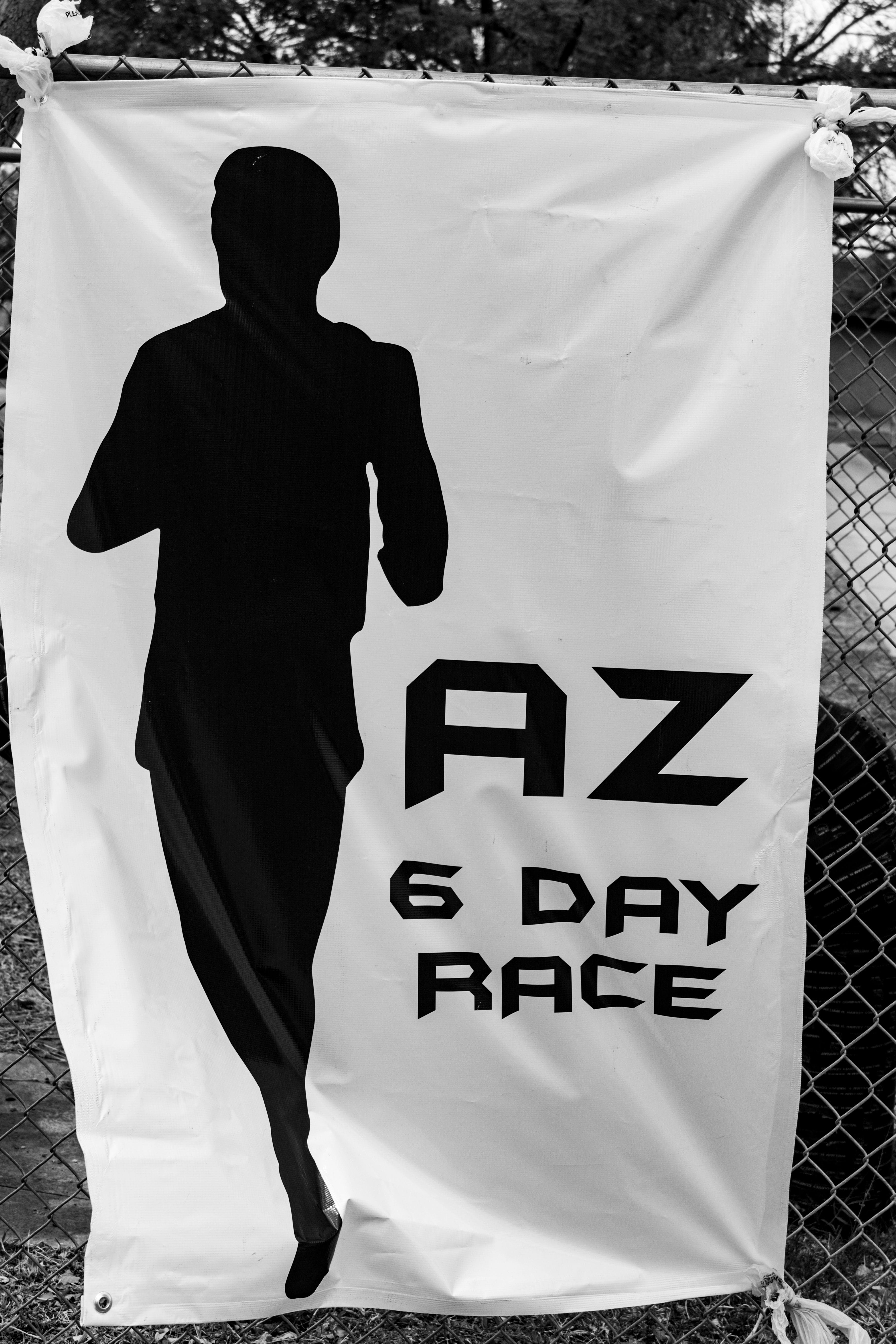 From Spectator to Participant: My Unexpected Journey at the Arizona 6 ...